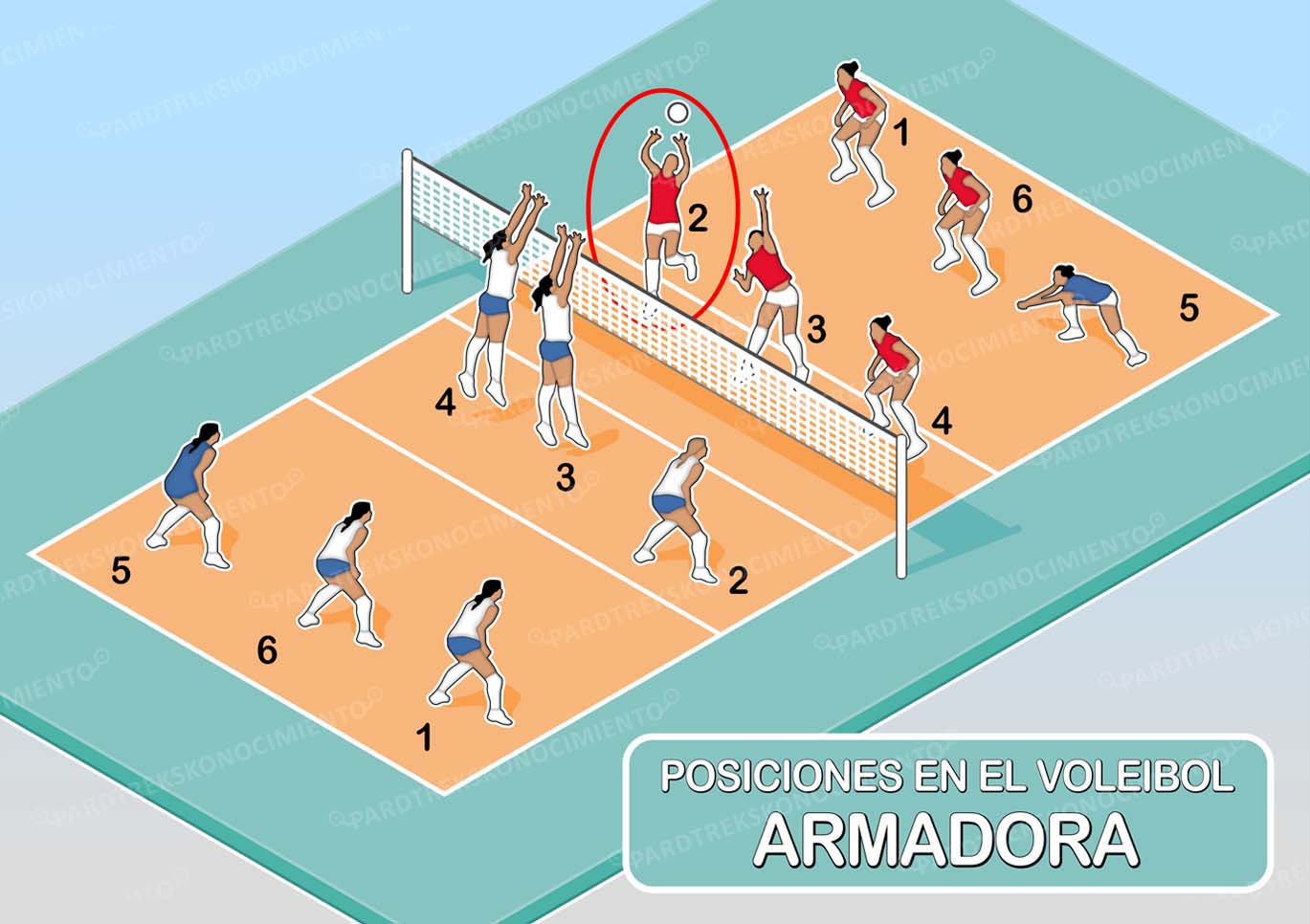 VOLEIBOL │ POSICIONES DE LOS JUGADORES Y ROTACIONES