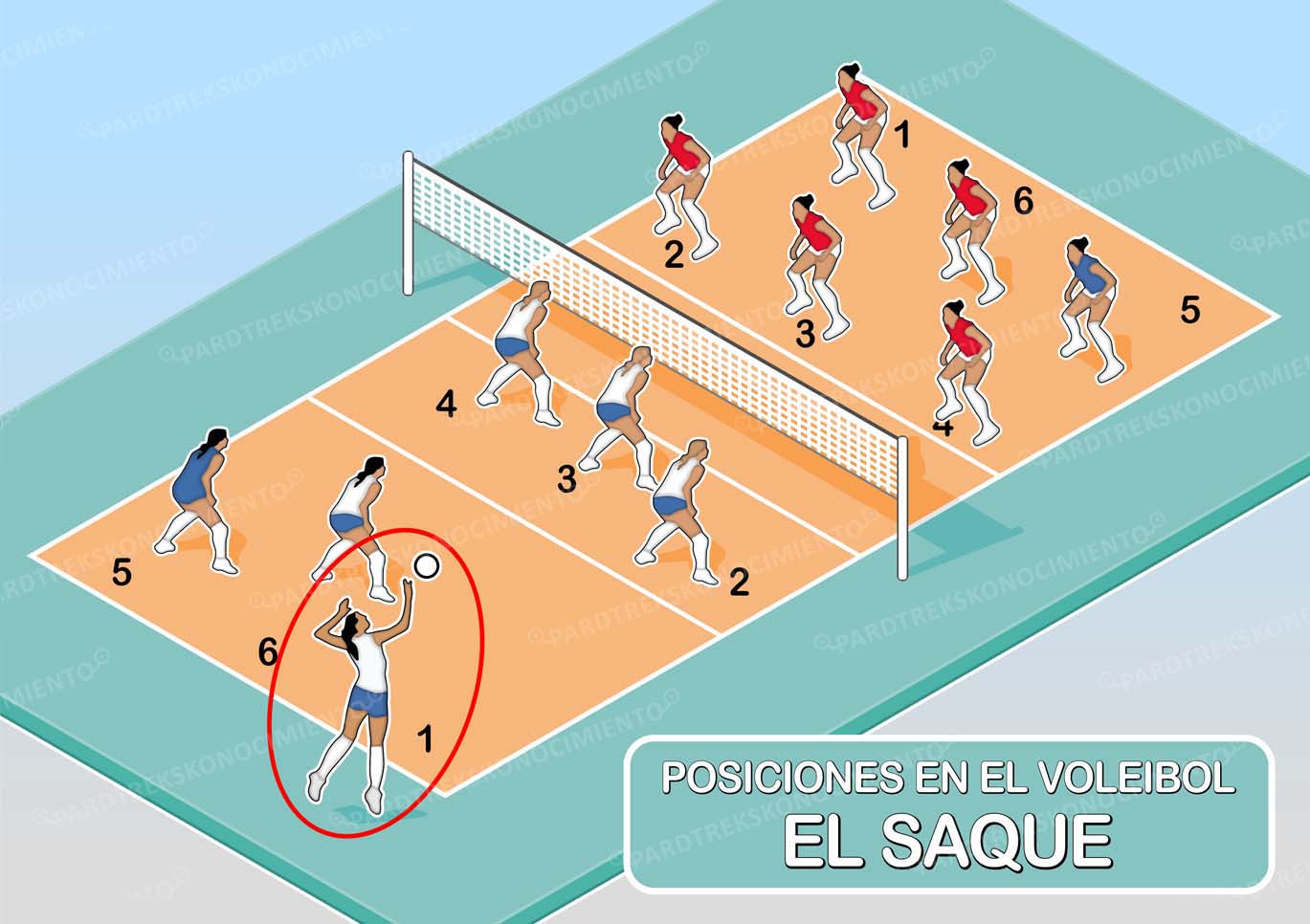 VOLEIBOL │ POSICIONES DE LOS JUGADORES Y ROTACIONES